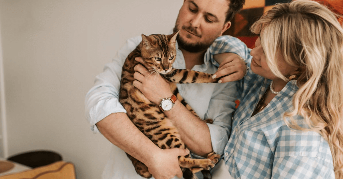De Facto Relationship Australia: 8-Point Comprehensive Guide - Melrose ...